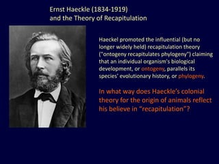 Classification (1).ppt | Biological Sciences | Science