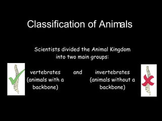 Classification 1211248247479135 8 | PPT