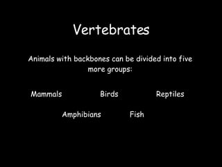 Classification 1211248247479135 8 | PPT