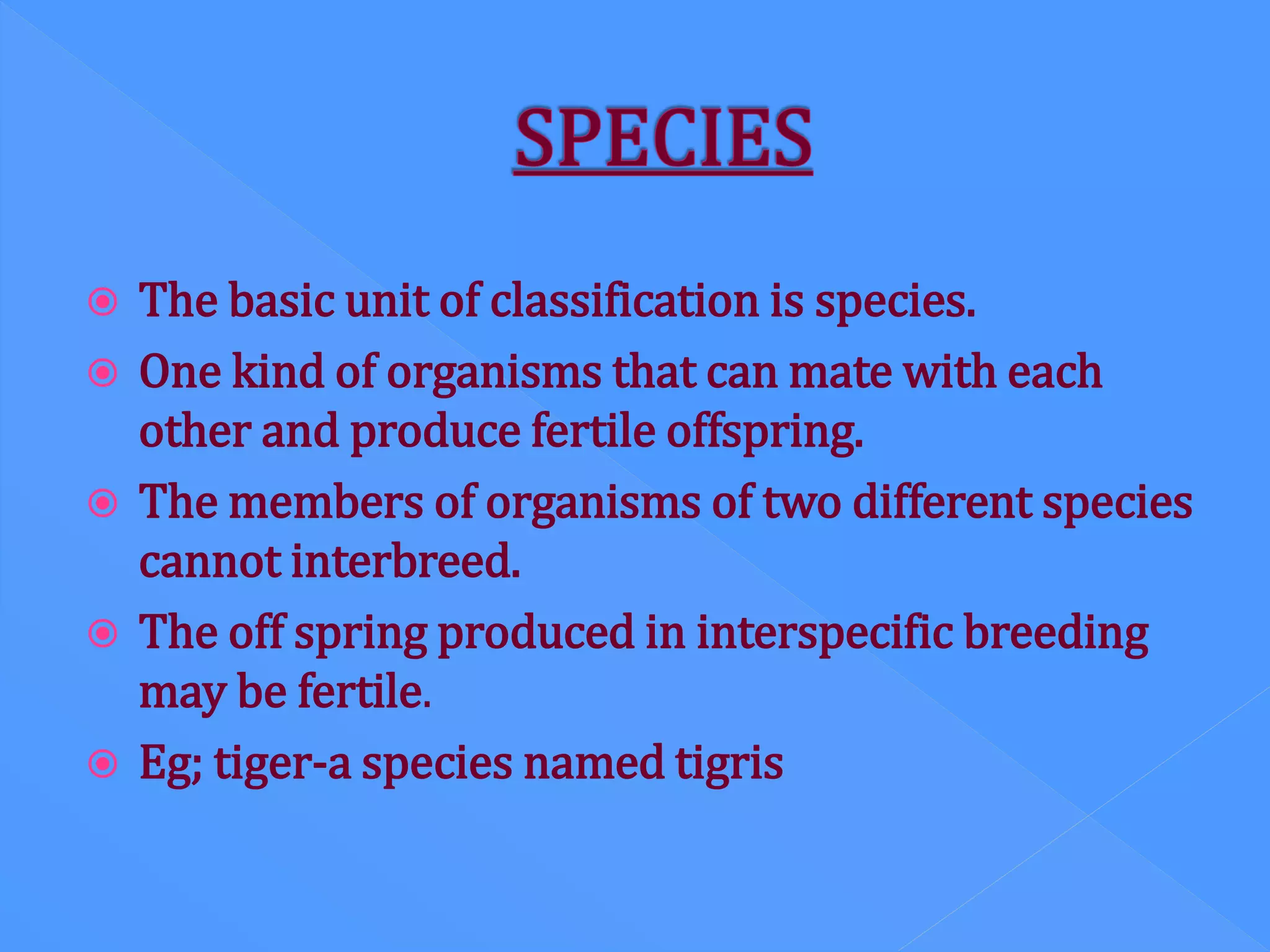 Powepoint presentation on classification | PPTX