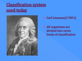 Powepoint presentation on classification | PPTX