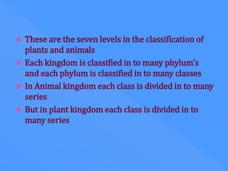 Powepoint presentation on classification | PPTX