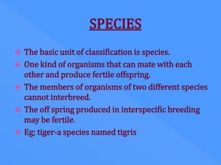 Powepoint presentation on classification | PPTX