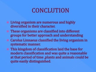 Powepoint presentation on classification | PPTX