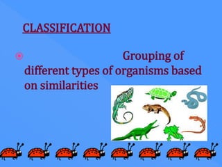 Powepoint presentation on classification | PPTX