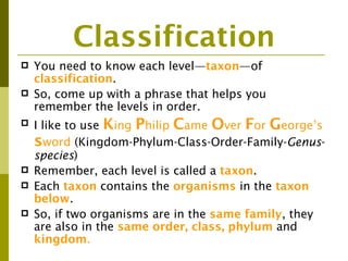 Classification%20 powerpoint[1] | PPT