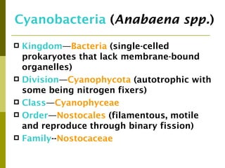 Classification%20 powerpoint[1] | PPT
