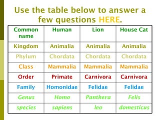 Classification%20 powerpoint[1] | PPT