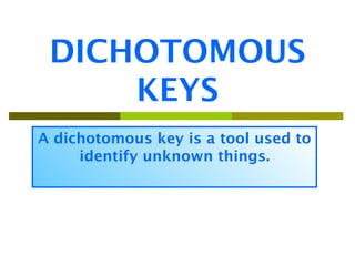 Classification%20 powerpoint[1] | PPT