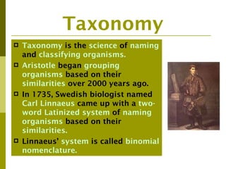 Classification%20 powerpoint[1] | PPT