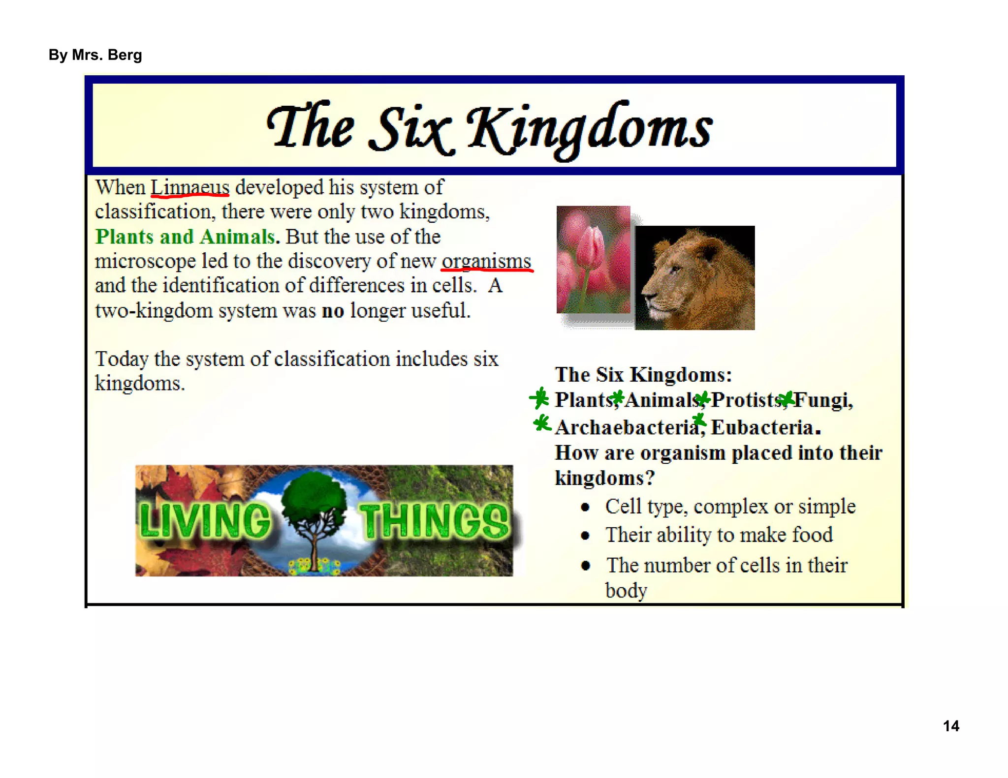 Classification & 6 kingdoms of living things berg | PDF