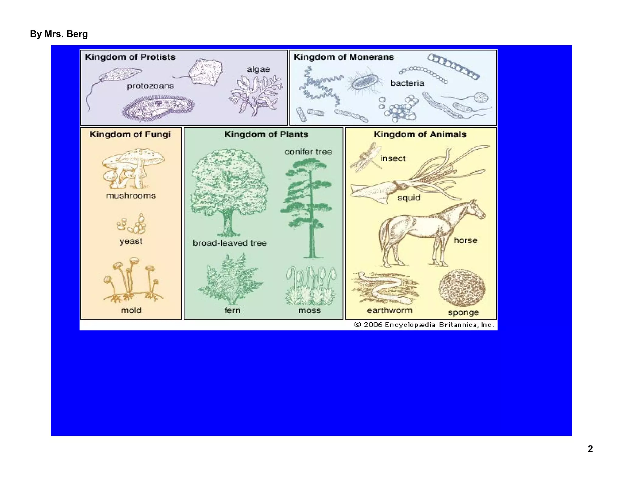 Classification & 6 kingdoms of living things berg | PDF