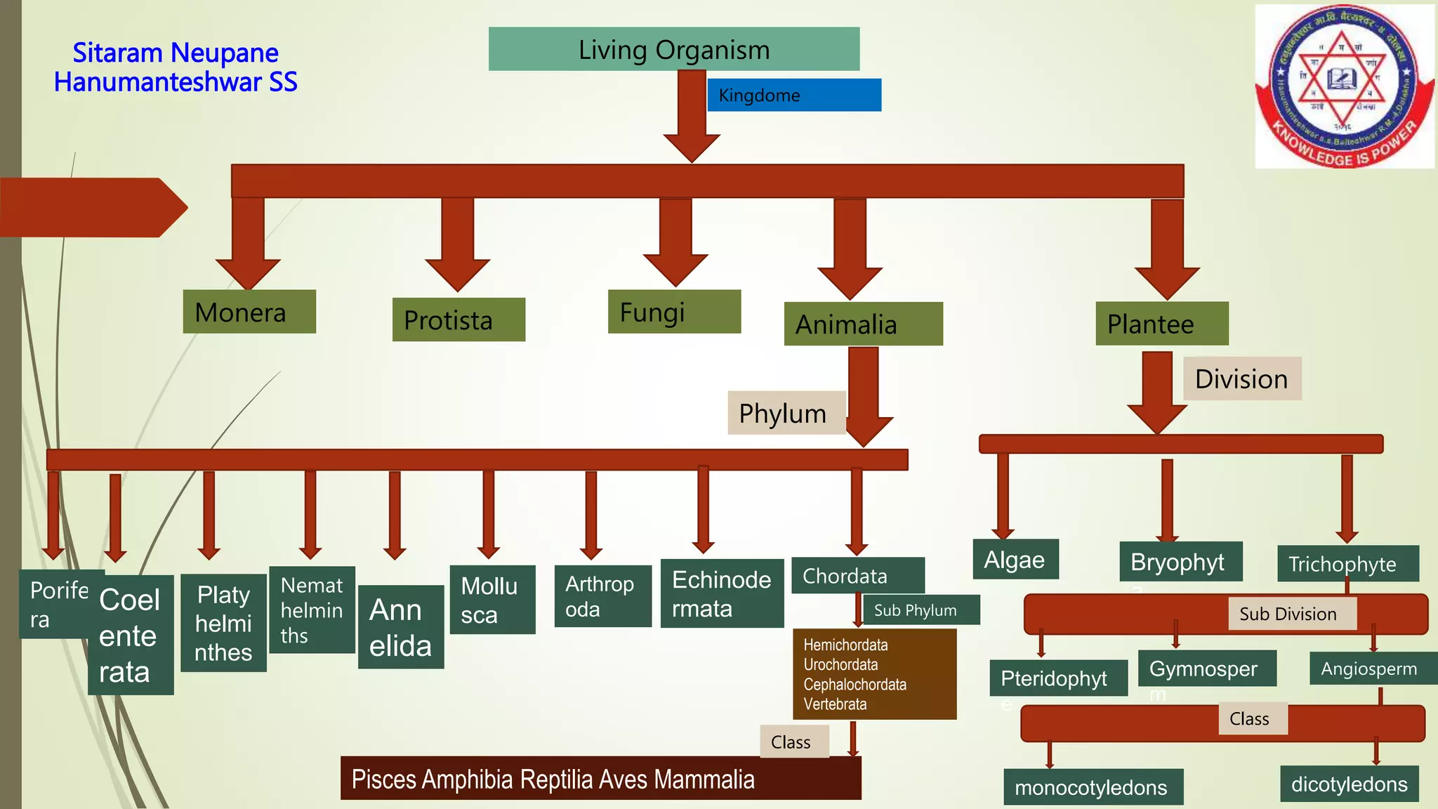 Classification 9.pptx