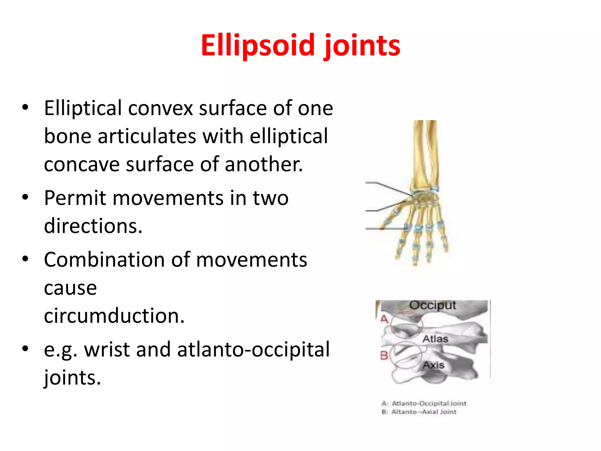 Classification and applied aspects of joints | PPTX