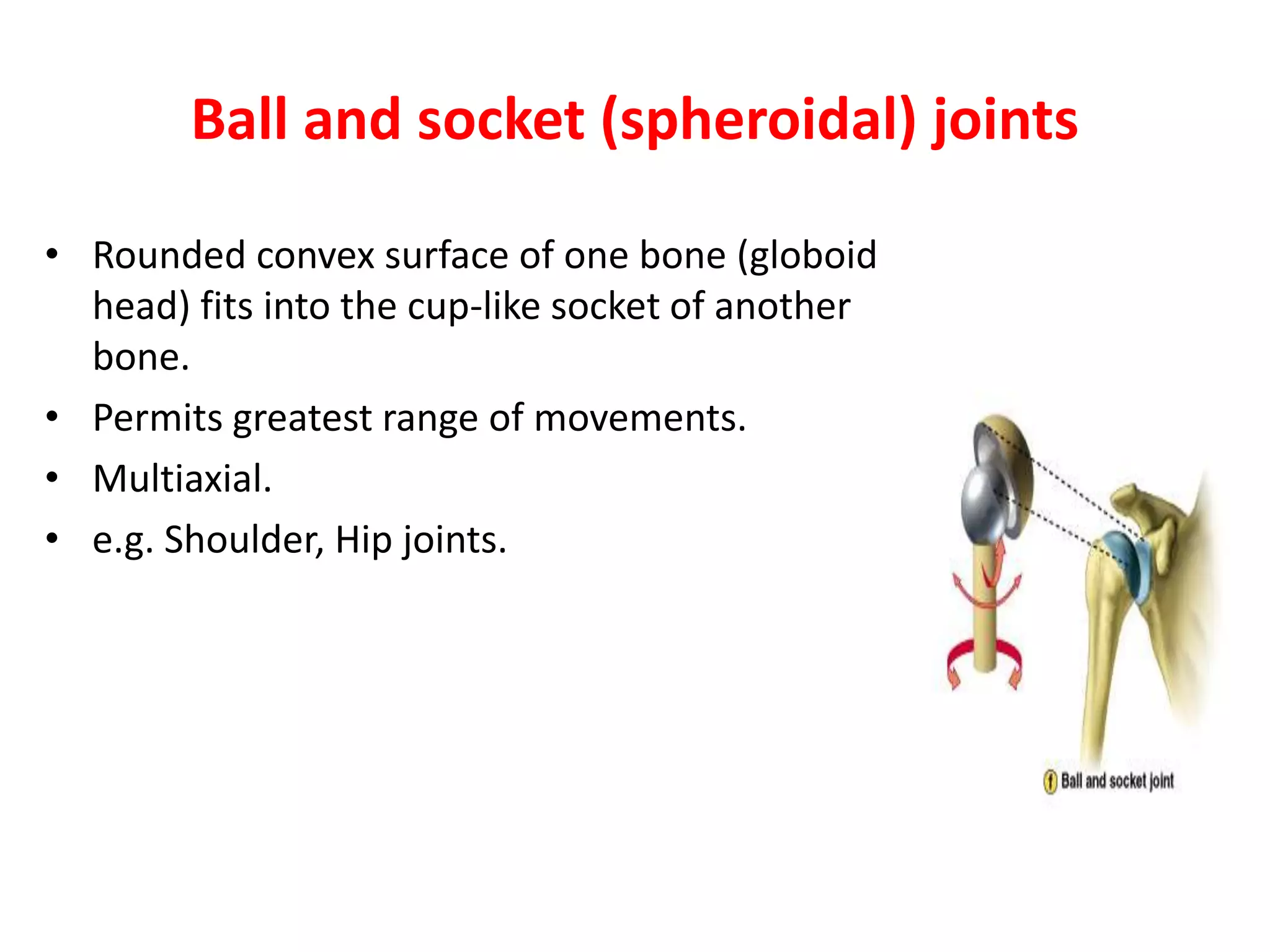 Classification and applied aspects of joints | PPTX