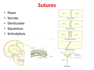 Classification and applied aspects of joints | PPTX