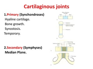 Classification and applied aspects of joints | PPTX