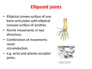 Classification and applied aspects of joints | PPTX