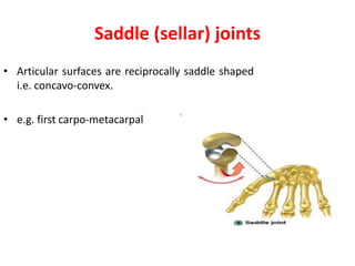 Classification and applied aspects of joints | PPTX