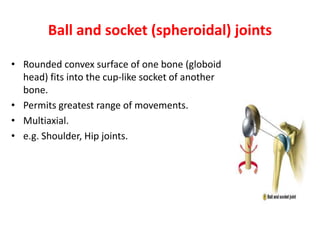 Classification and applied aspects of joints | PPTX