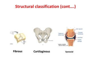 Classification and applied aspects of joints | PPTX