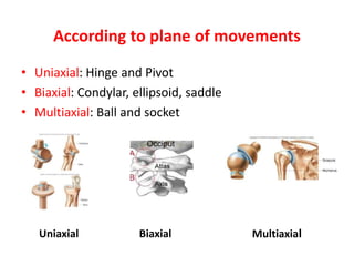 Classification and applied aspects of joints | PPT