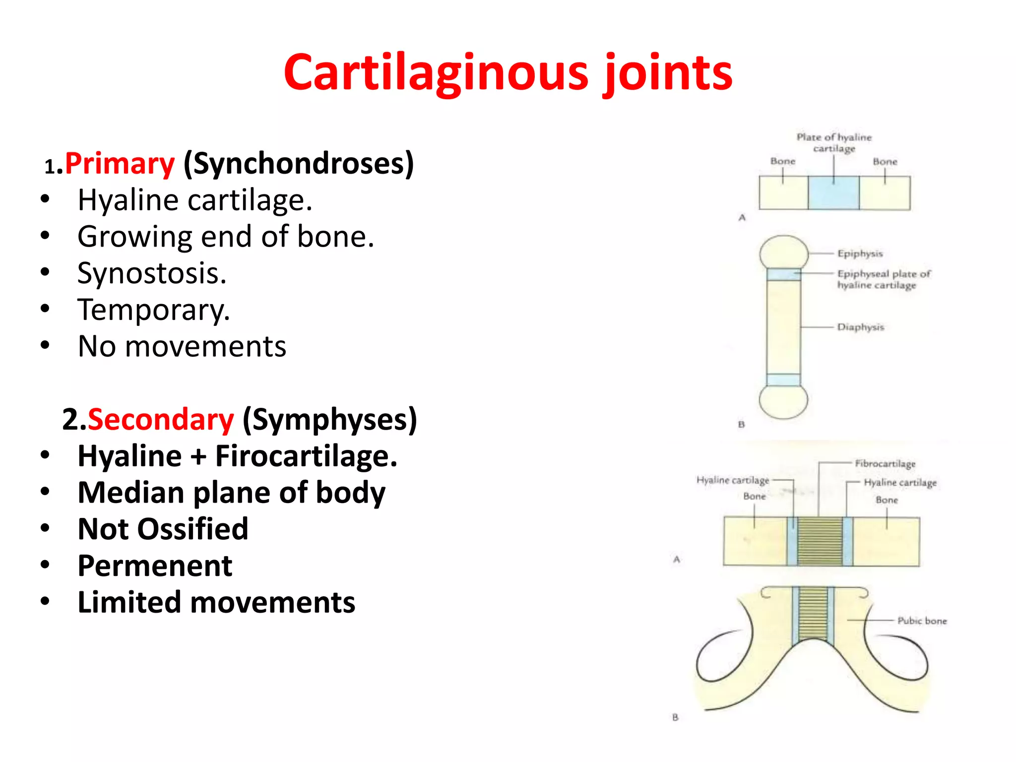 Classification and Applied Aspects of Joints | PPTX