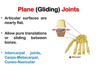 Classification and Applied Aspects of Joints.pptx