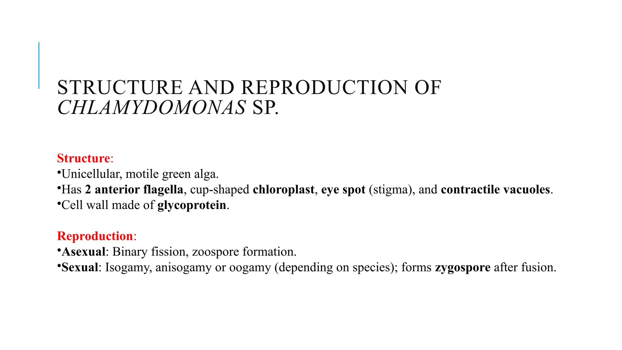 CLASSIFICATION AND BASICS OF ALGAE AND PROTOZOA.pptx