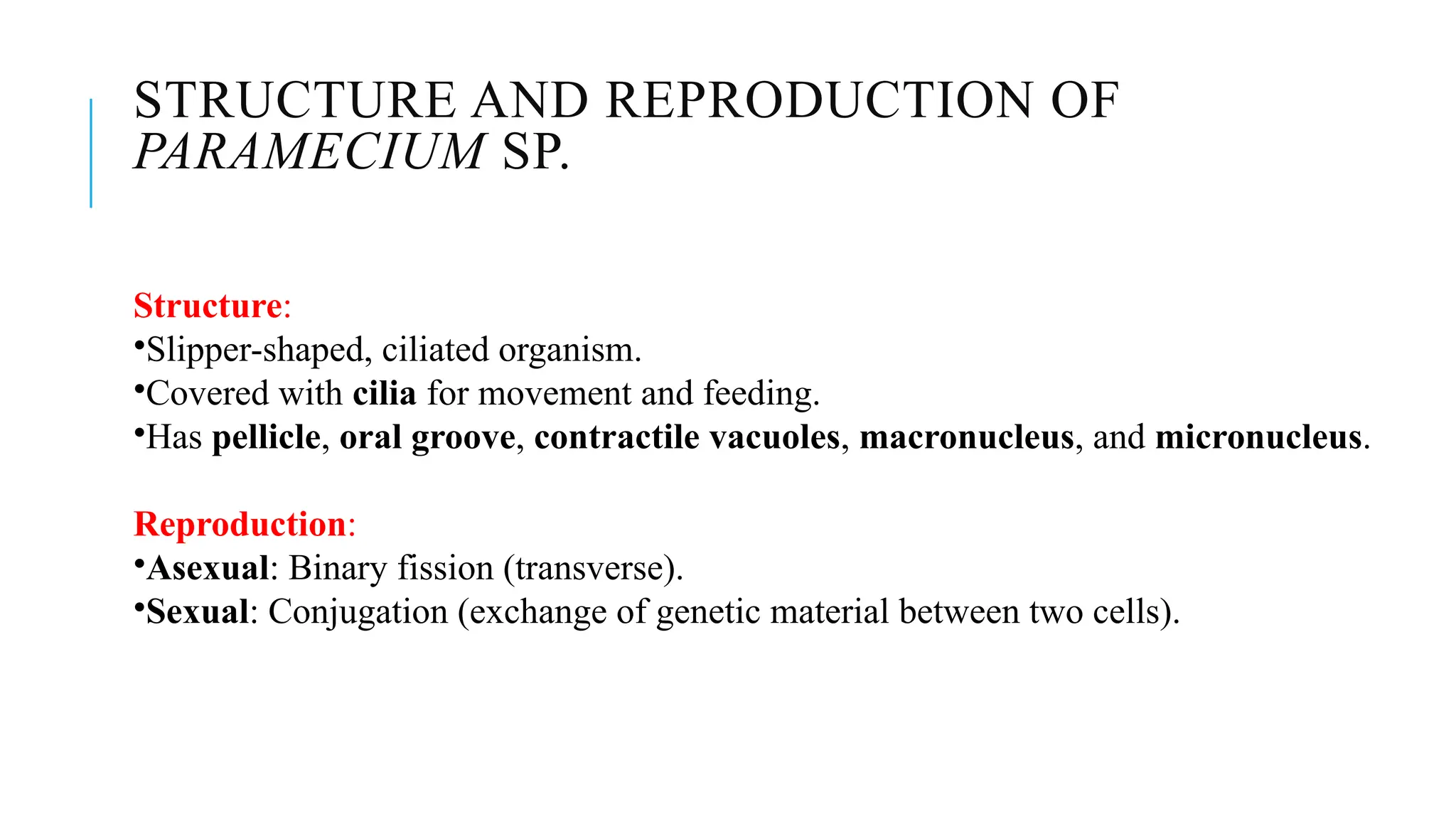 CLASSIFICATION AND BASICS OF ALGAE AND PROTOZOA.pptx