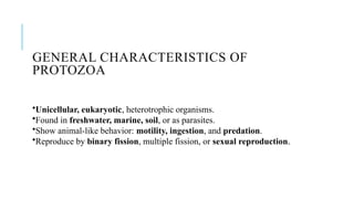 CLASSIFICATION AND BASICS OF ALGAE AND PROTOZOA.pptx