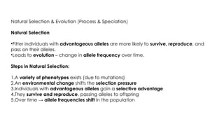 Classification and Circulation Powerpoint | PPTX