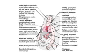 Classification and clinical features of congestive heart failure | PPTX