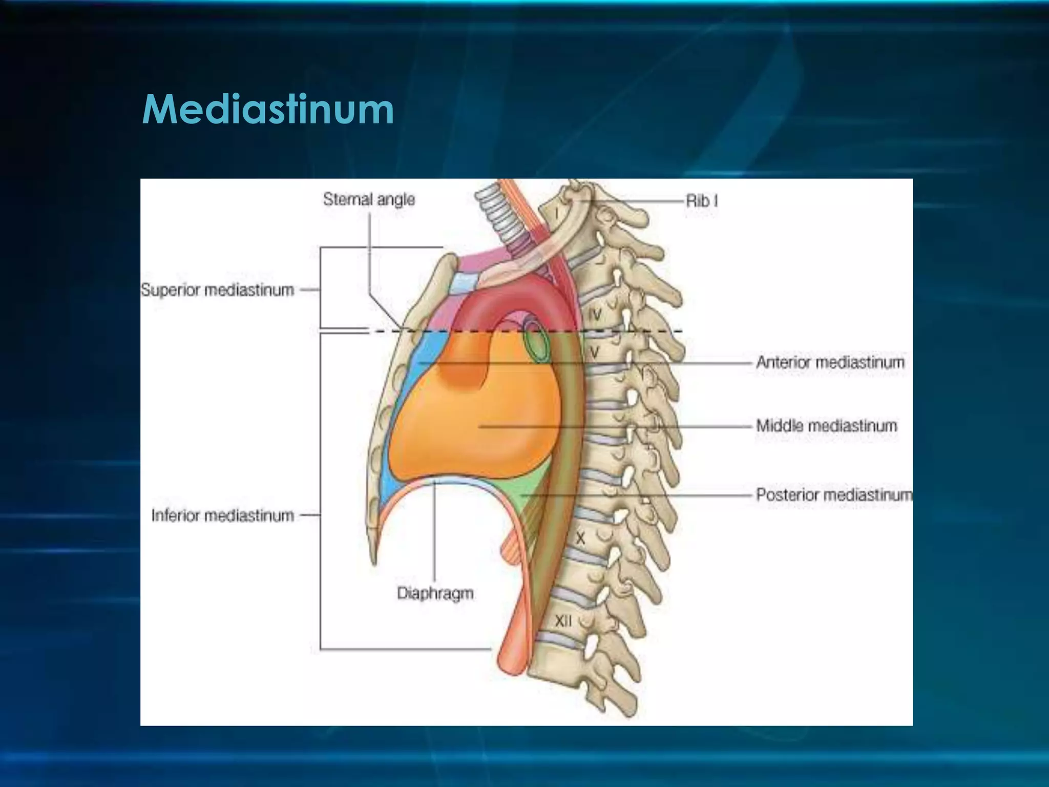 Classification and diagnostic approach to fnac of mediastinal | PPTX