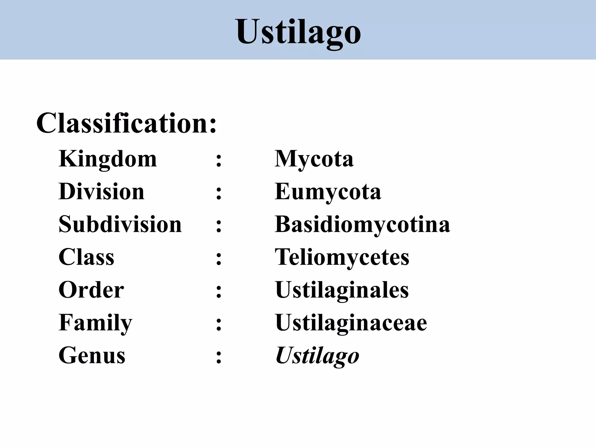 Classification and diagnostic charecterstics of main plant pathogenic ...