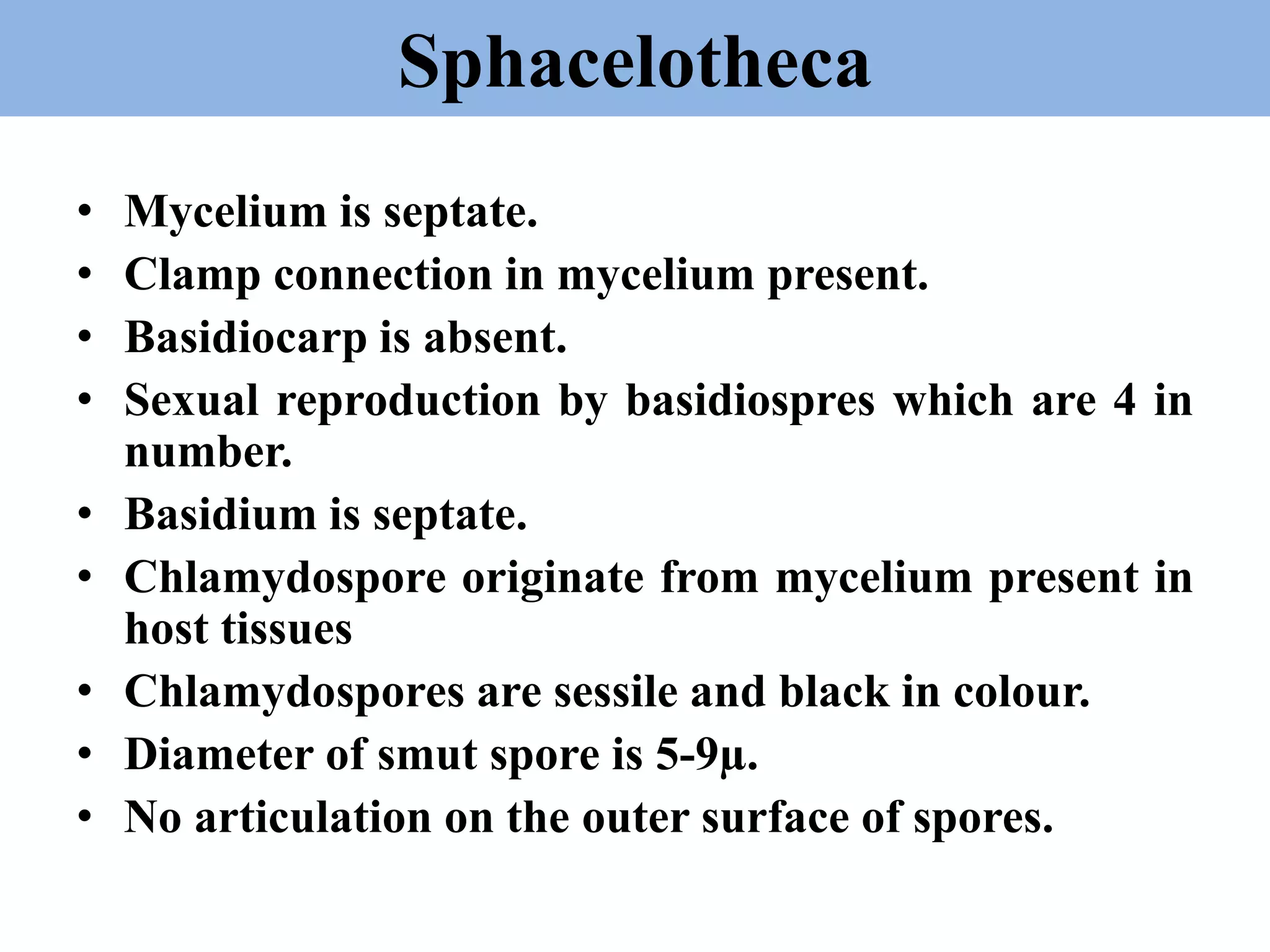 Classification and diagnostic charecterstics of main plant pathogenic ...