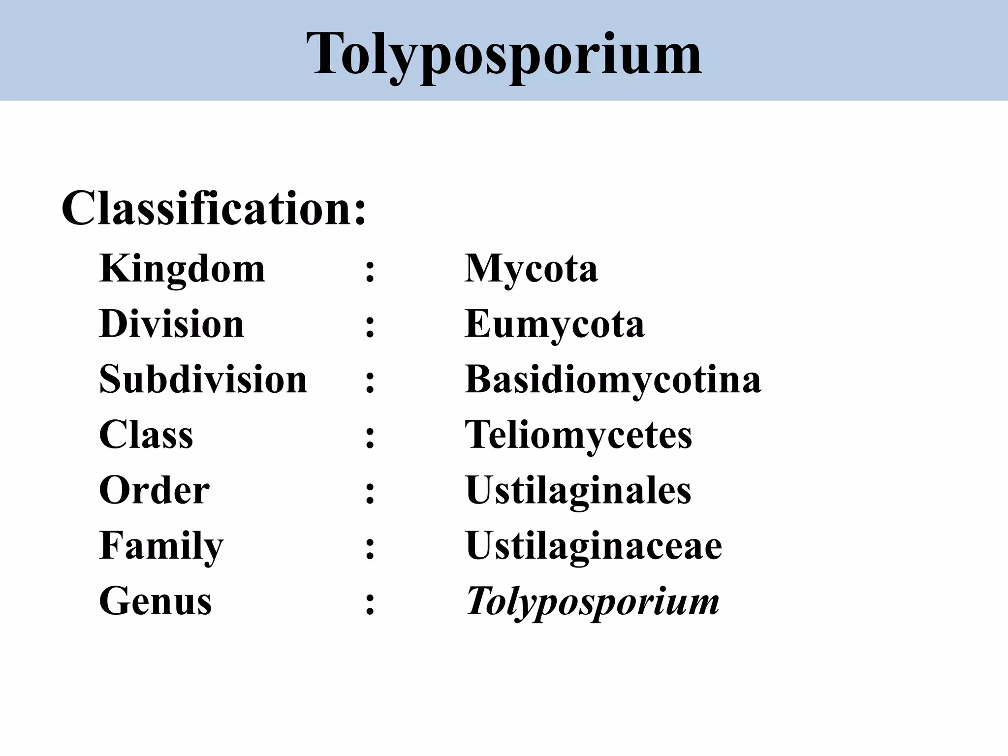 Classification and diagnostic charecterstics of main plant pathogenic ...