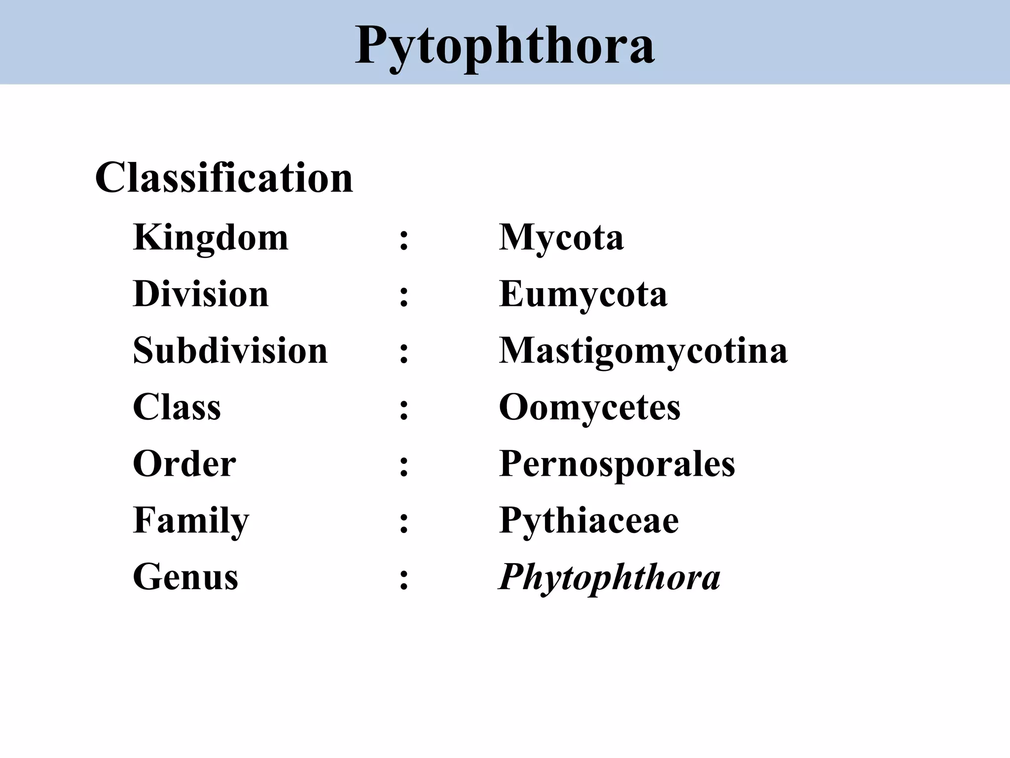Classification and diagnostic charecterstics of main plant pathogenic ...