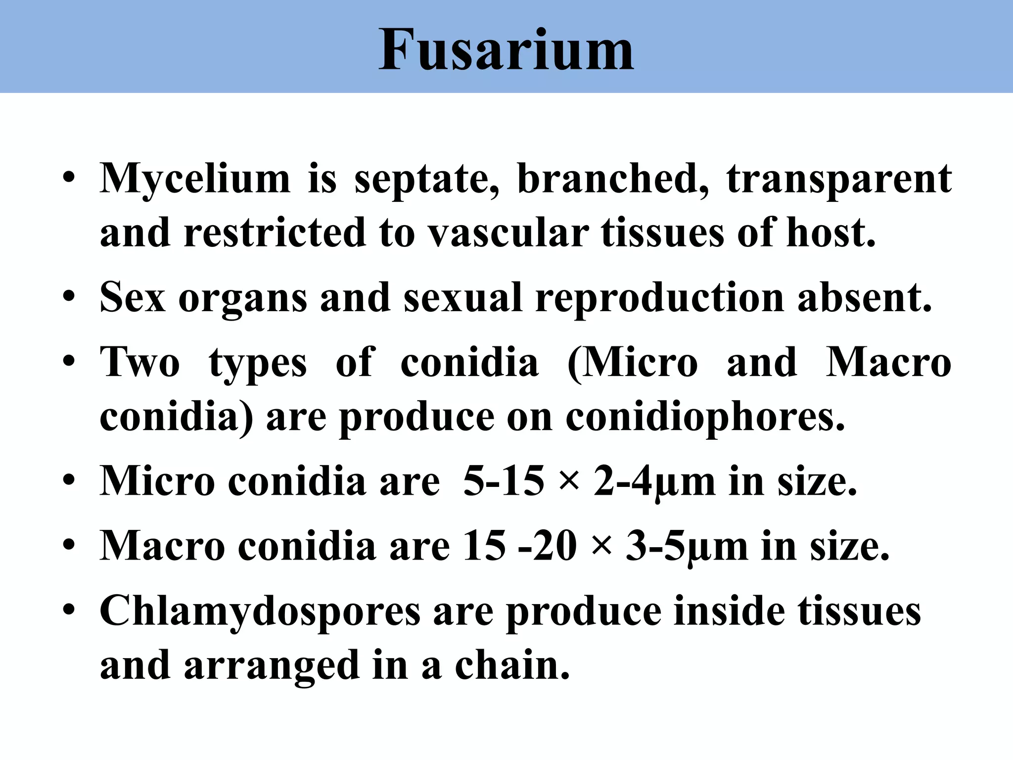 Classification and diagnostic charecterstics of main plant pathogenic ...