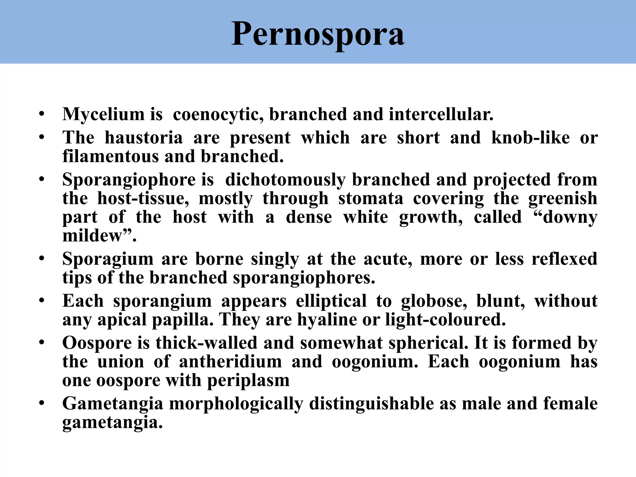 Classification and diagnostic charecterstics of main plant pathogenic ...