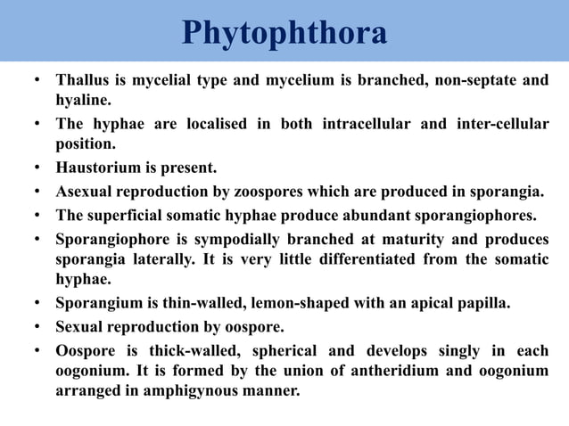 Classification and diagnostic charecterstics of main plant pathogenic ...