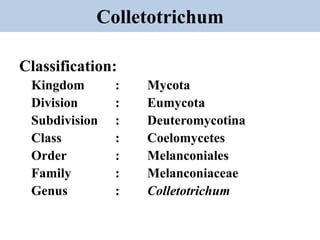 Classification and diagnostic charecterstics of main plant pathogenic ...