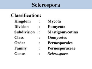 Classification and diagnostic charecterstics of main plant pathogenic ...