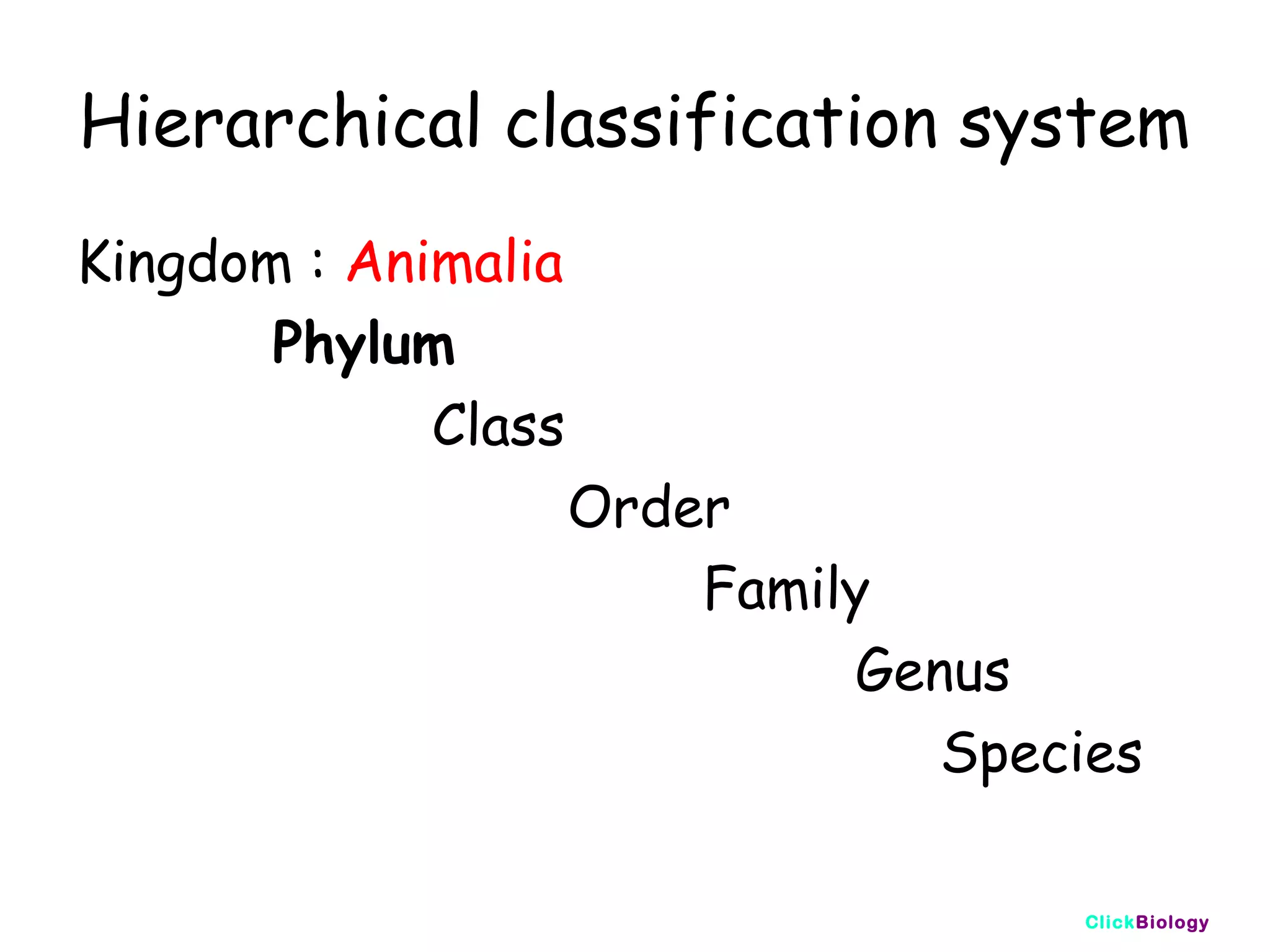 Classification and Keys | PPT