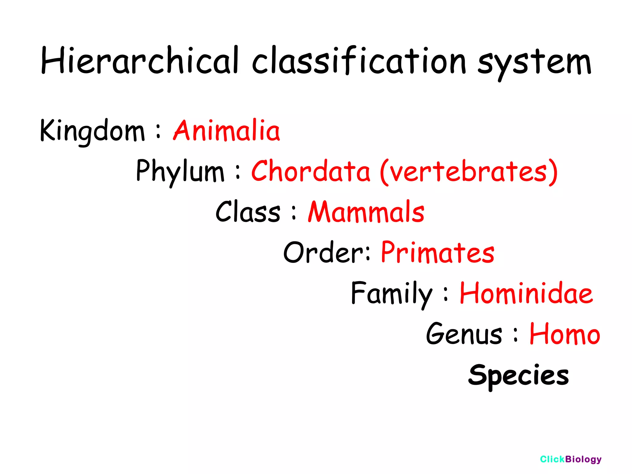 Classification and Keys | PPT