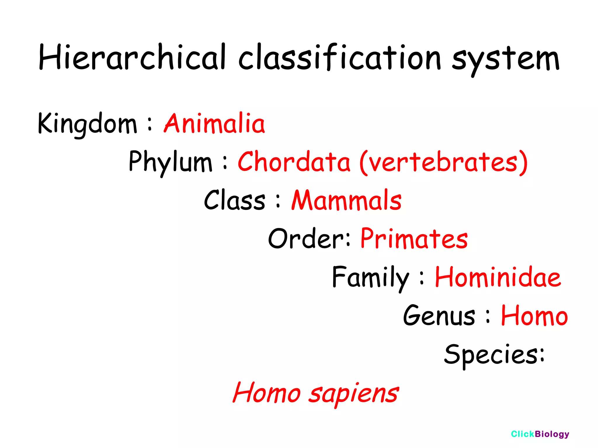 Classification and Keys | PPT