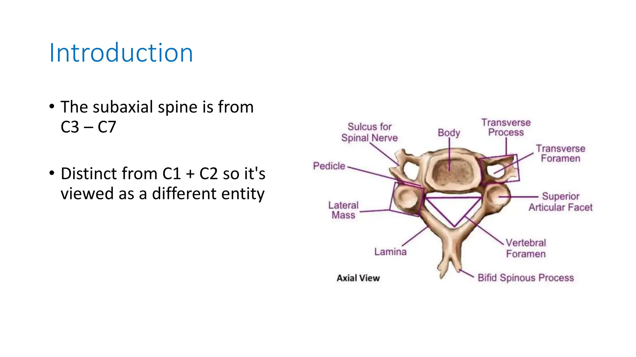 Classification and mechanism of subaxial cervical spine injuries.pptx