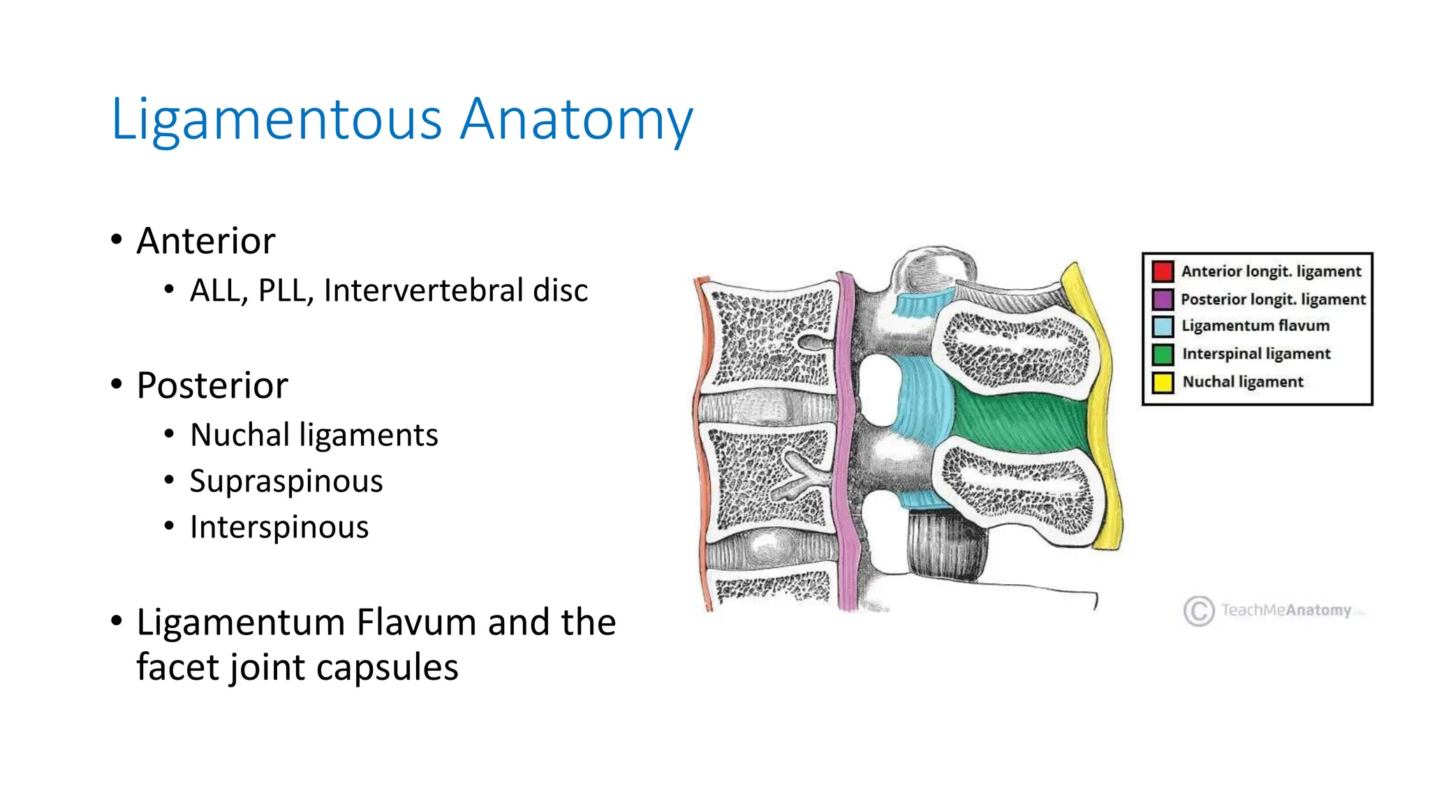 Classification and mechanism of subaxial cervical spine injuries.pptx