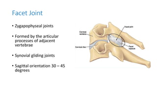 Classification and mechanism of subaxial cervical spine injuries.pptx