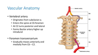 Classification and mechanism of subaxial cervical spine injuries.pptx